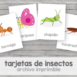 Printable Kid’s Insect Flashcards, Spanish - Etsy