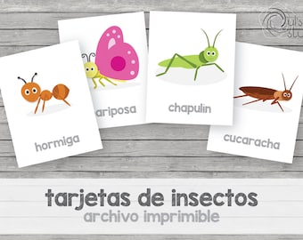 Tarjetas de insectos imprimibles para niños inglés-español | Etsy México