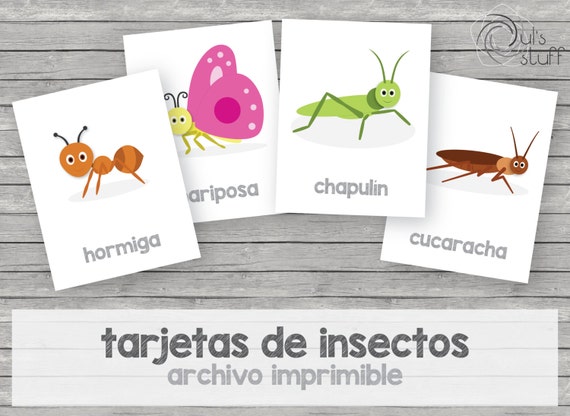 Printable kid’s insect flashcards, spanish by Dul's Stuff | Catch My Party