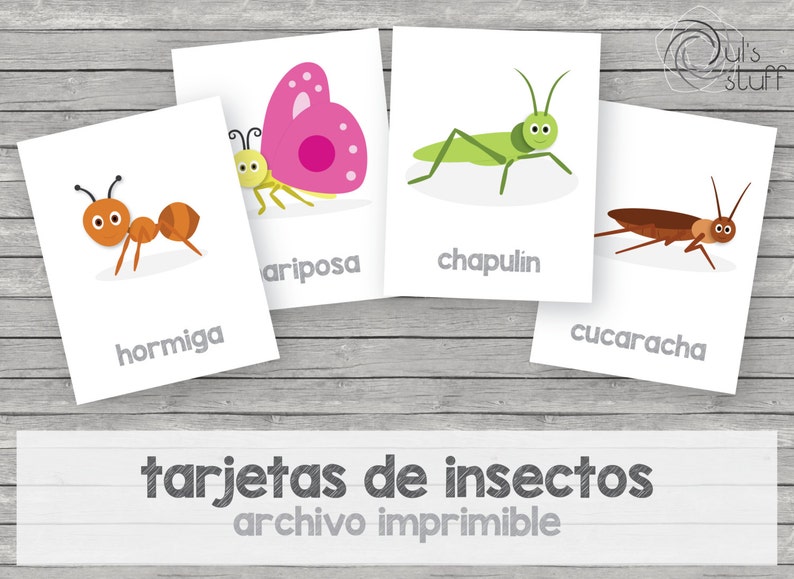 Tarjetas de insectos imprimibles para niños en español - Etsy México