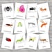 Printable Kids Insect Flashcards, Spanish - Etsy