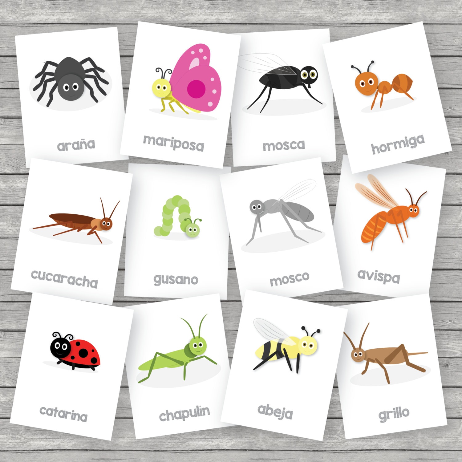 Tarjetas de insectos imprimibles para niños en español - Etsy México