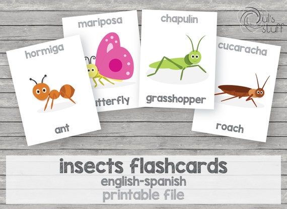Printable kid’s insect flashcards, english-spanish by Dul's Stuff ...