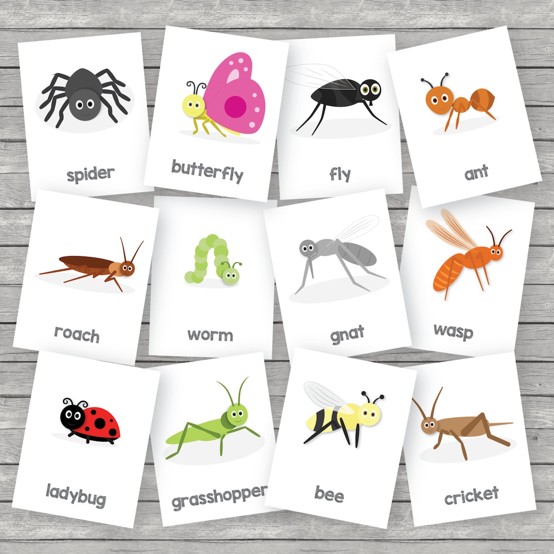Printable Kids Insect Flashcards English - Etsy