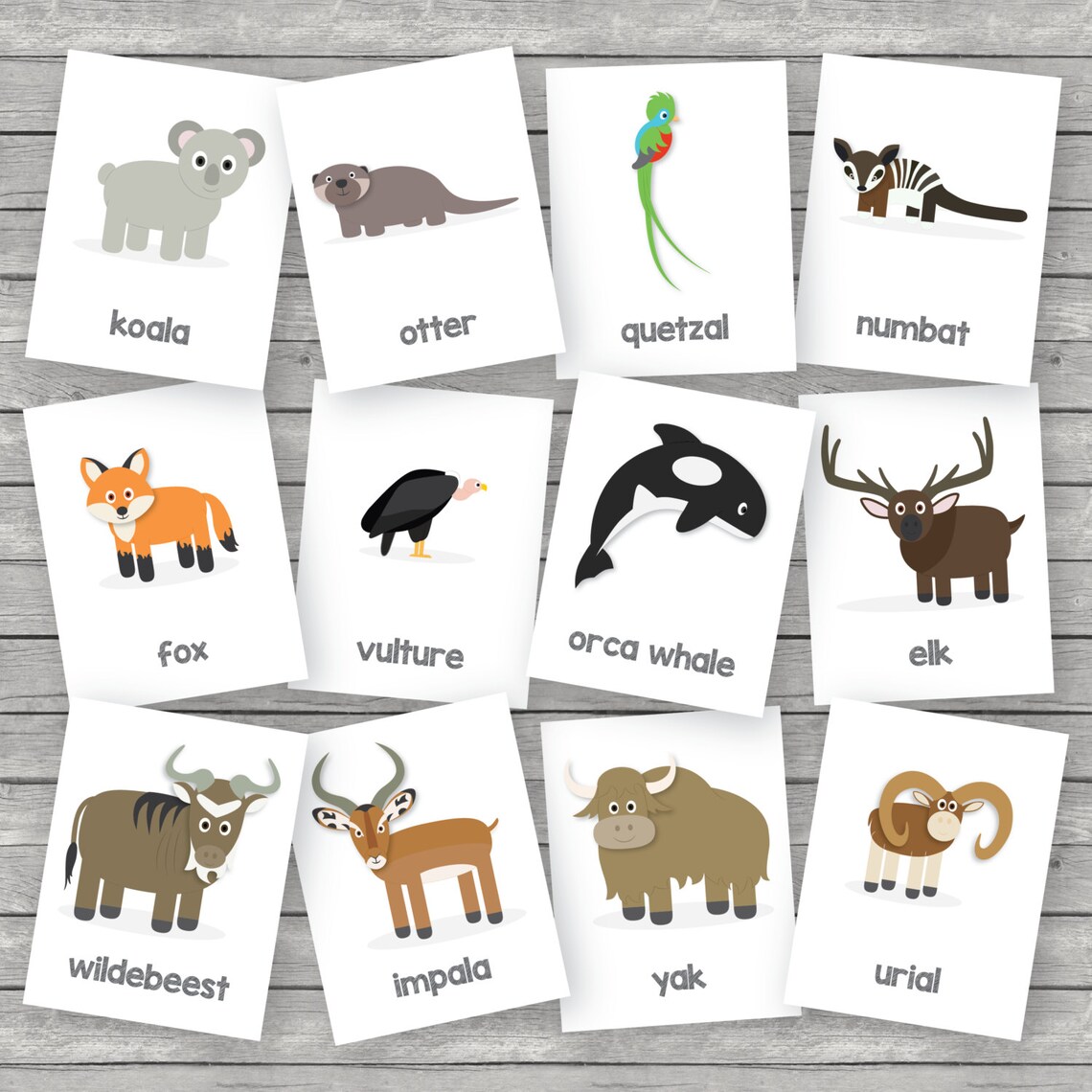 Printable Kids Zoo Animals Flashcards English - Etsy
