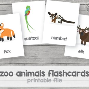 Printable Kids Zoo Animals Flashcards, English - Etsy