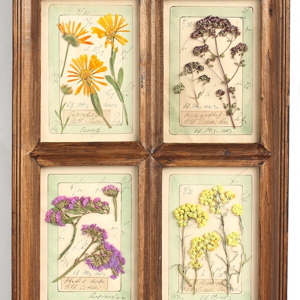 Pressed Botanicals - Etsy