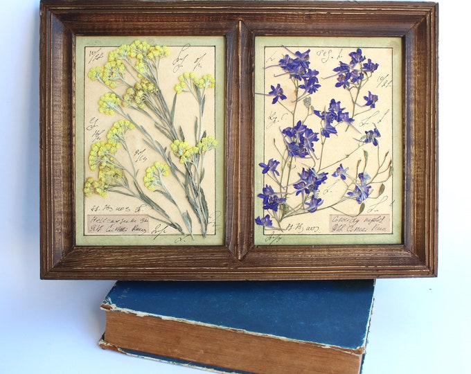 Pressed Flower Art, Dried Flower Frame. Pressed Leaves Frame, Pressed ...