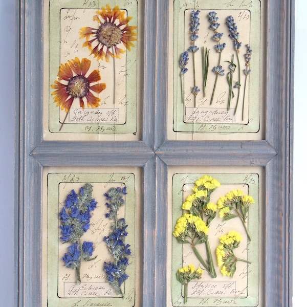 Pressed Plant Frame - Etsy