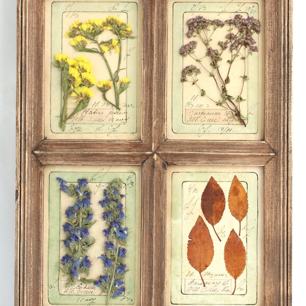 Pressed Flower Frame - Etsy