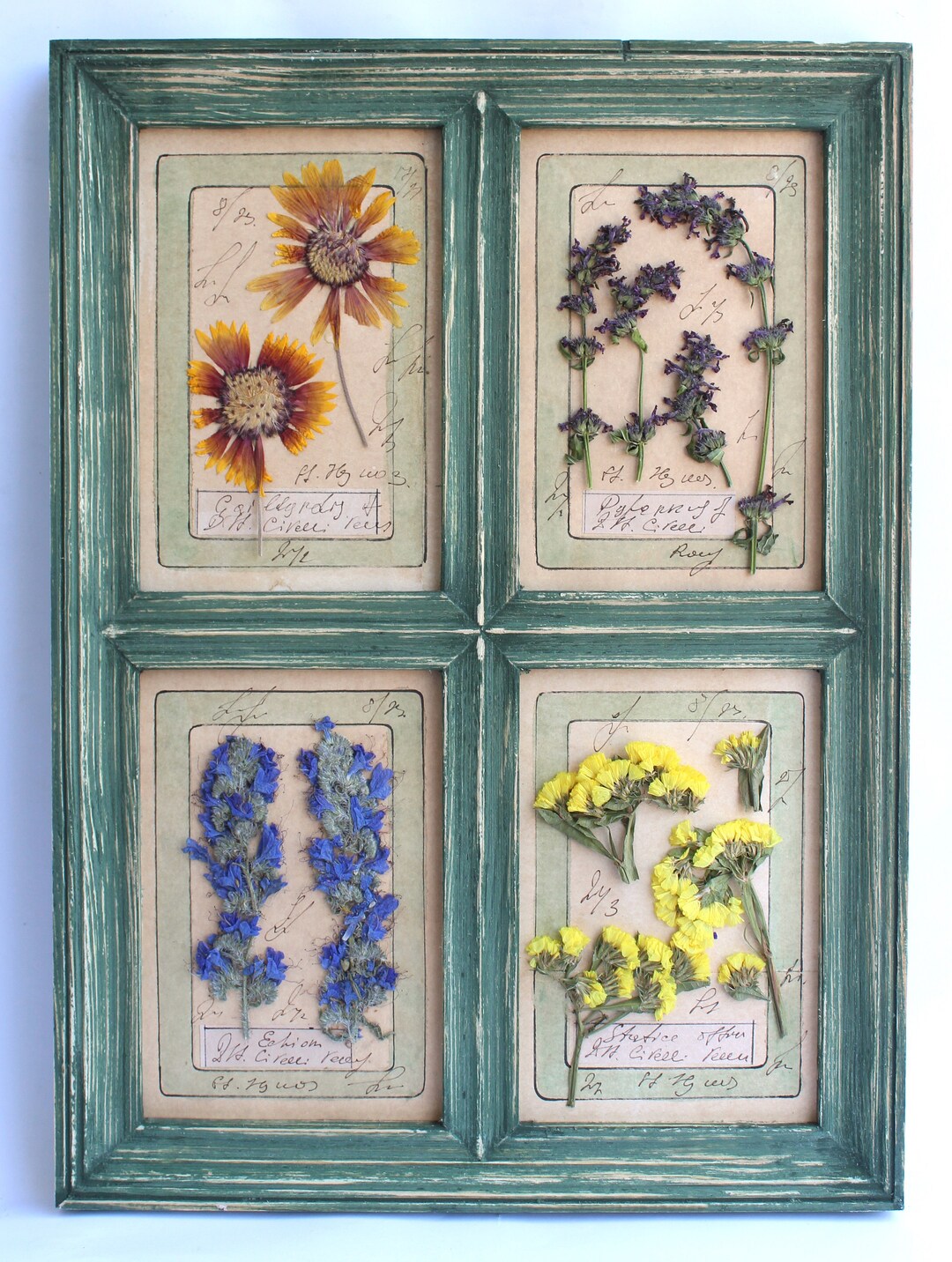 Pressed Flower Frame, Pressed Flower Art, 4 Pane Frame, Pressed ...