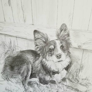 Custom Graphite Pet Portrait 8x10 - Etsy