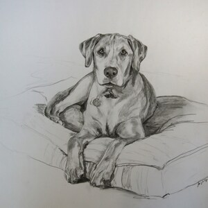 Custom Graphite Pet Portrait 8x10 - Etsy