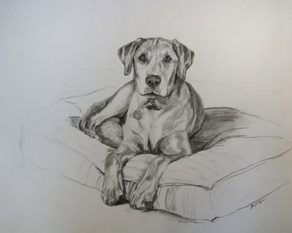 Custom Graphite Pet Portrait 8x10 | Etsy