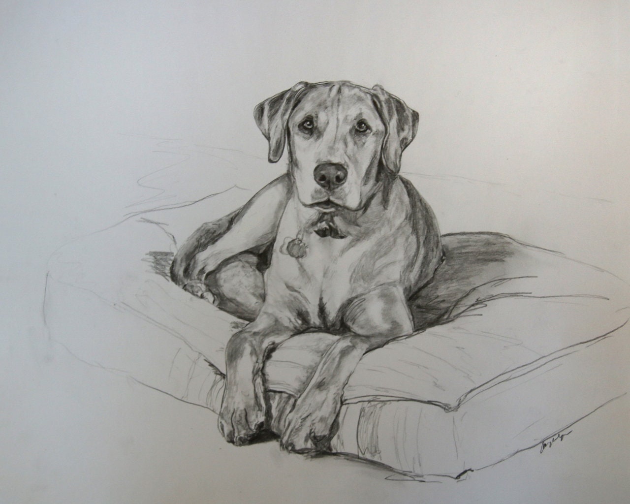 Custom Graphite Pet Portrait 8x10 - Etsy
