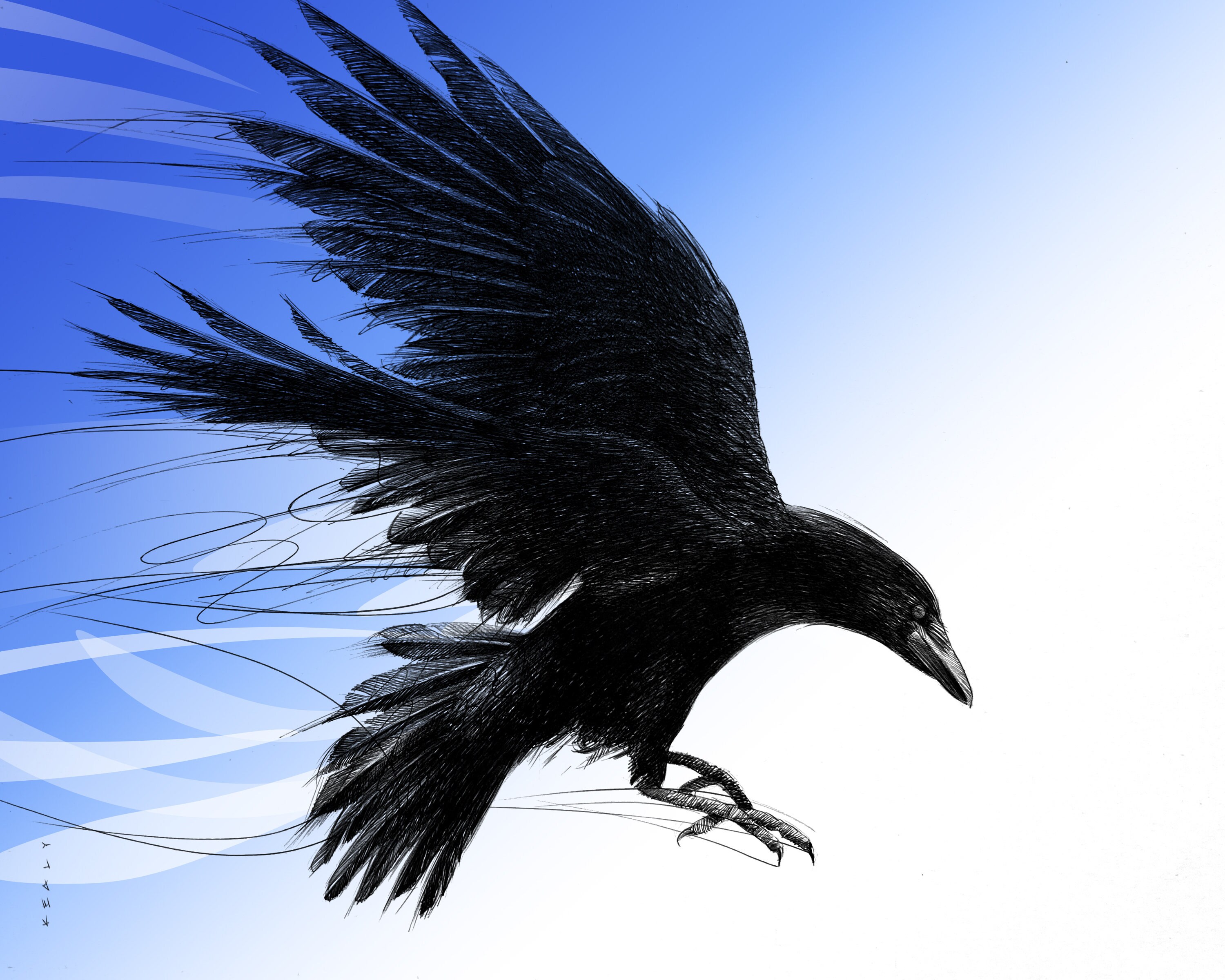 3 Crow Drawings Digital Download – Black and White + Color - Etsy