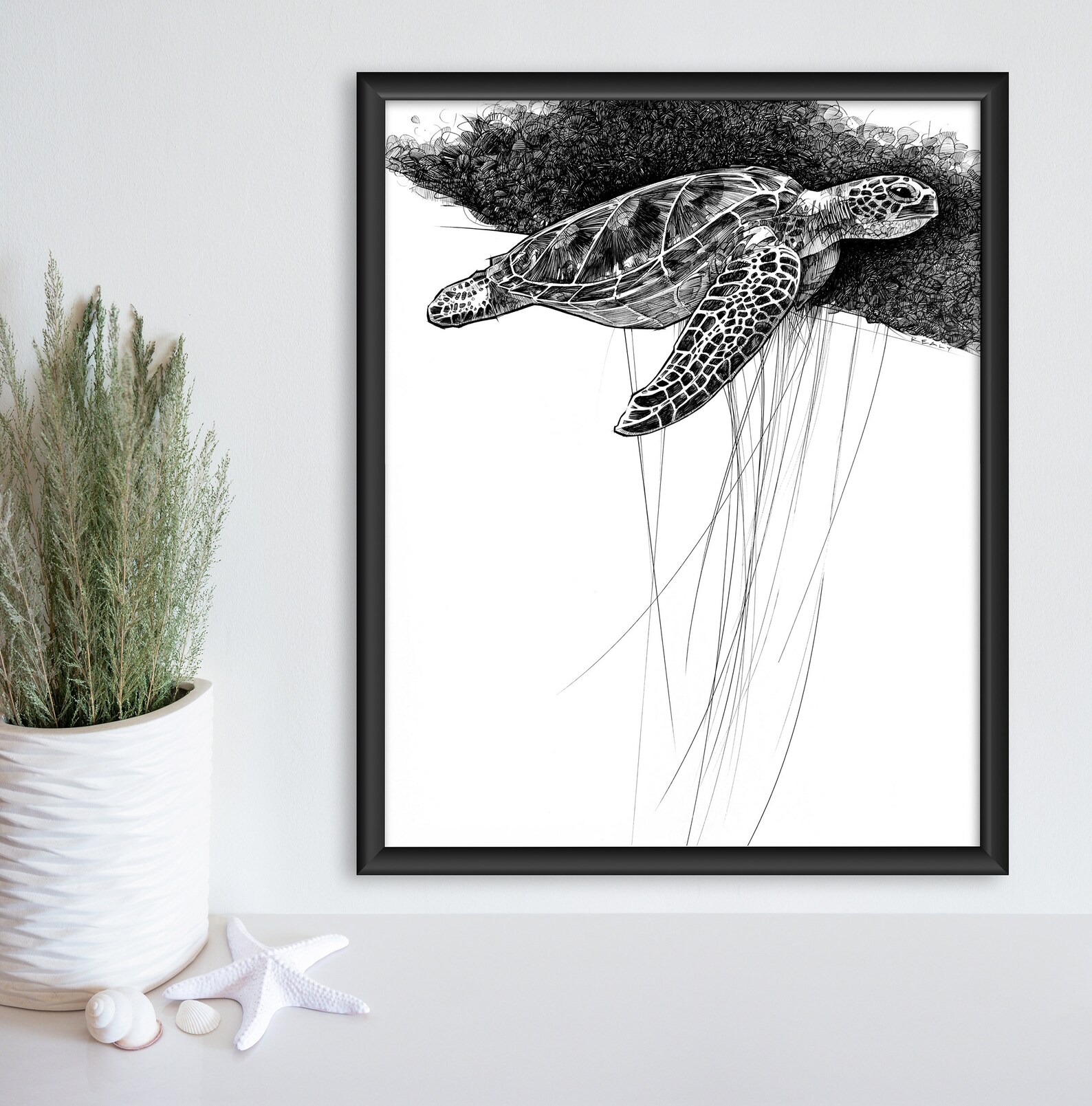 Turtle Drawing – Black and White - Etsy