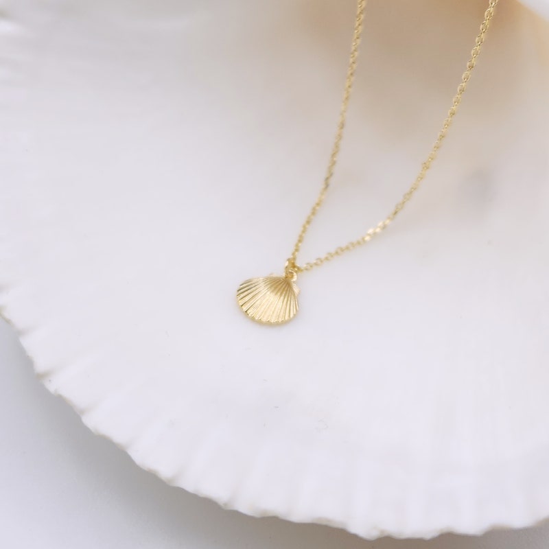 Gold Seashell - Etsy