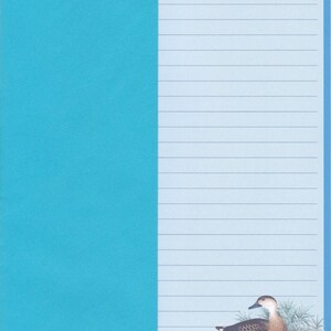Classic Duck Design Fine Lined Stationery 8.5" X 11" 25 Sheets and 10 ...