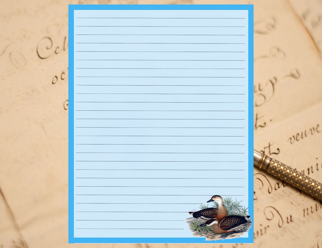 Classic Duck Design Fine Lined Stationery 8.5" X 11" 25 Sheets and 10 ...
