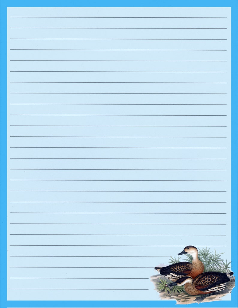 Classic Duck Design Fine Lined Stationery 8.5" X 11" 25 Sheets and 10 ...