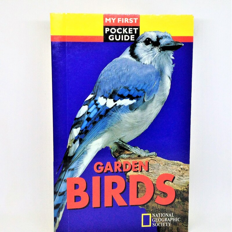 Vintage Bird Book - Etsy