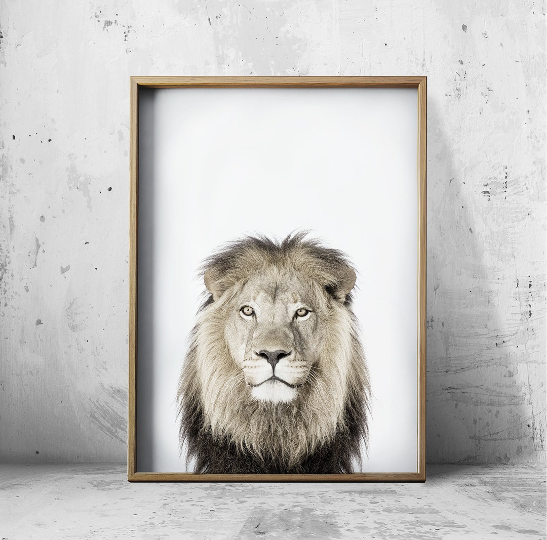 Lion Prints Lion Poster Lion Art Animal Print Nature Print - Etsy