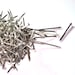 500pcs #17x1-1/4" 1,4x30mm Escutcheon Pins Nails, Nickel Plated, Silver ...