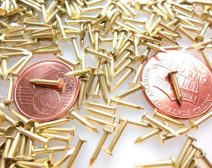 Brass Small Tack Nails, Brad, Escutcheon Pins: 8-17mm X 1.2mm Flat Head ...