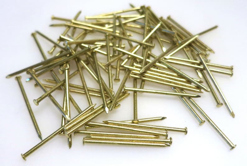 Solid Brass Tack Nails Brads Escutcheon Pins 12 X 4 25mm Etsy