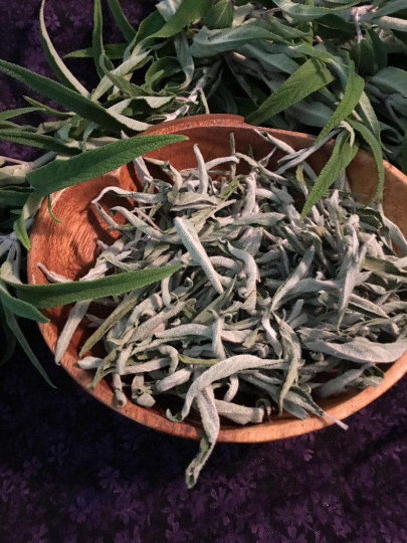 Dried Organic Mullein Leaves | Etsy