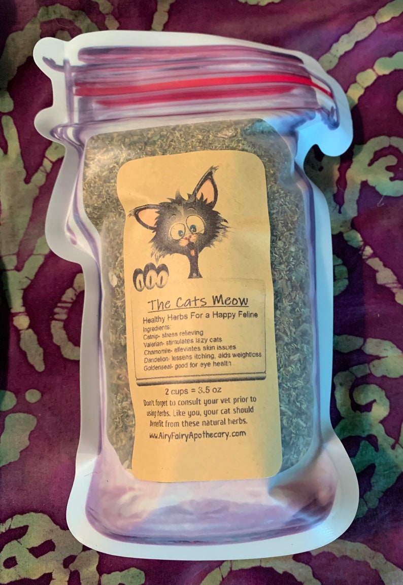 The Cats Meow Catnip Cat Hebs - Etsy
