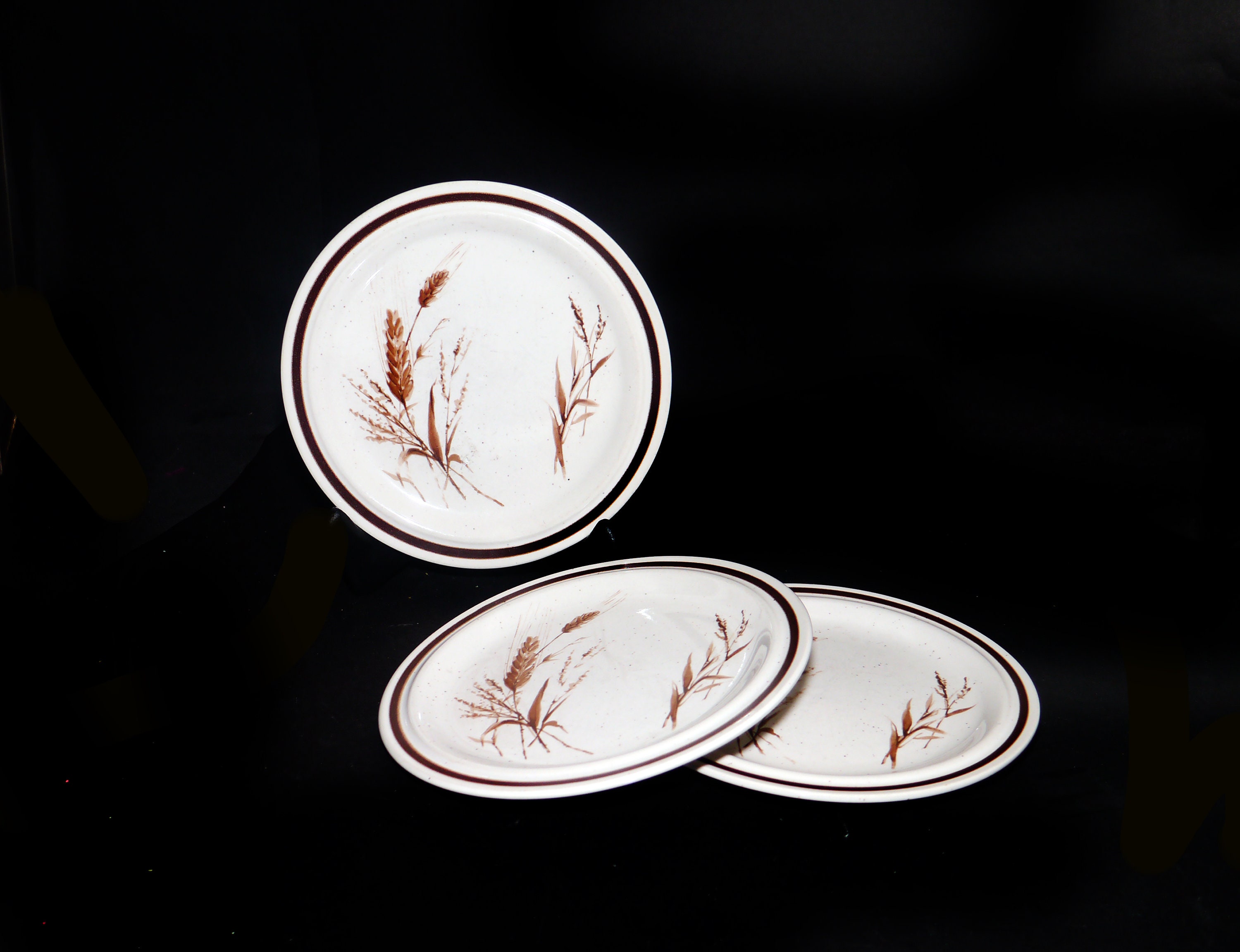 Four Haniwa Stone Harvest stoneware salad plates made in Japan. Sold as ...