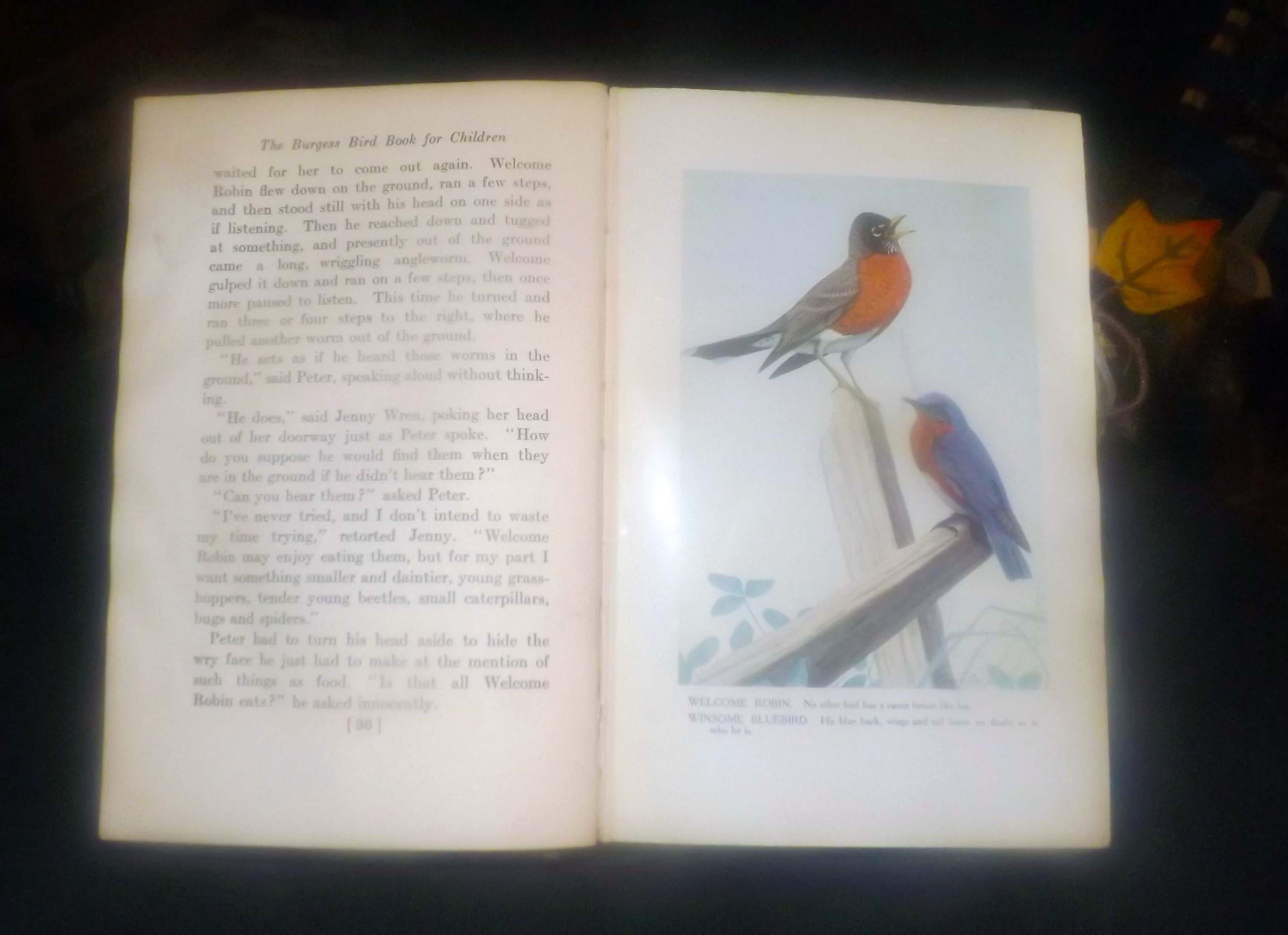 Antique (1919) hardcover first-edition children's book The Burgess Bird ...