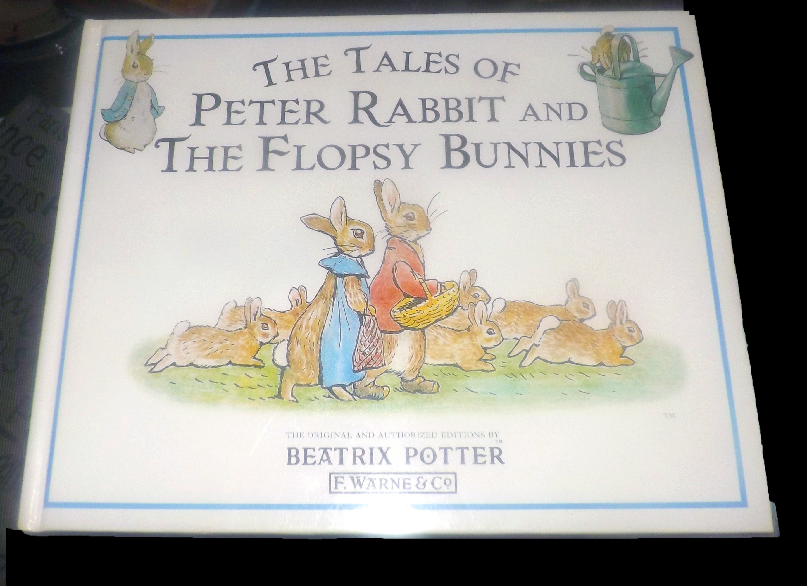 Vintage (1995) Penguin Books first-edition hardcover book The Tales of ...