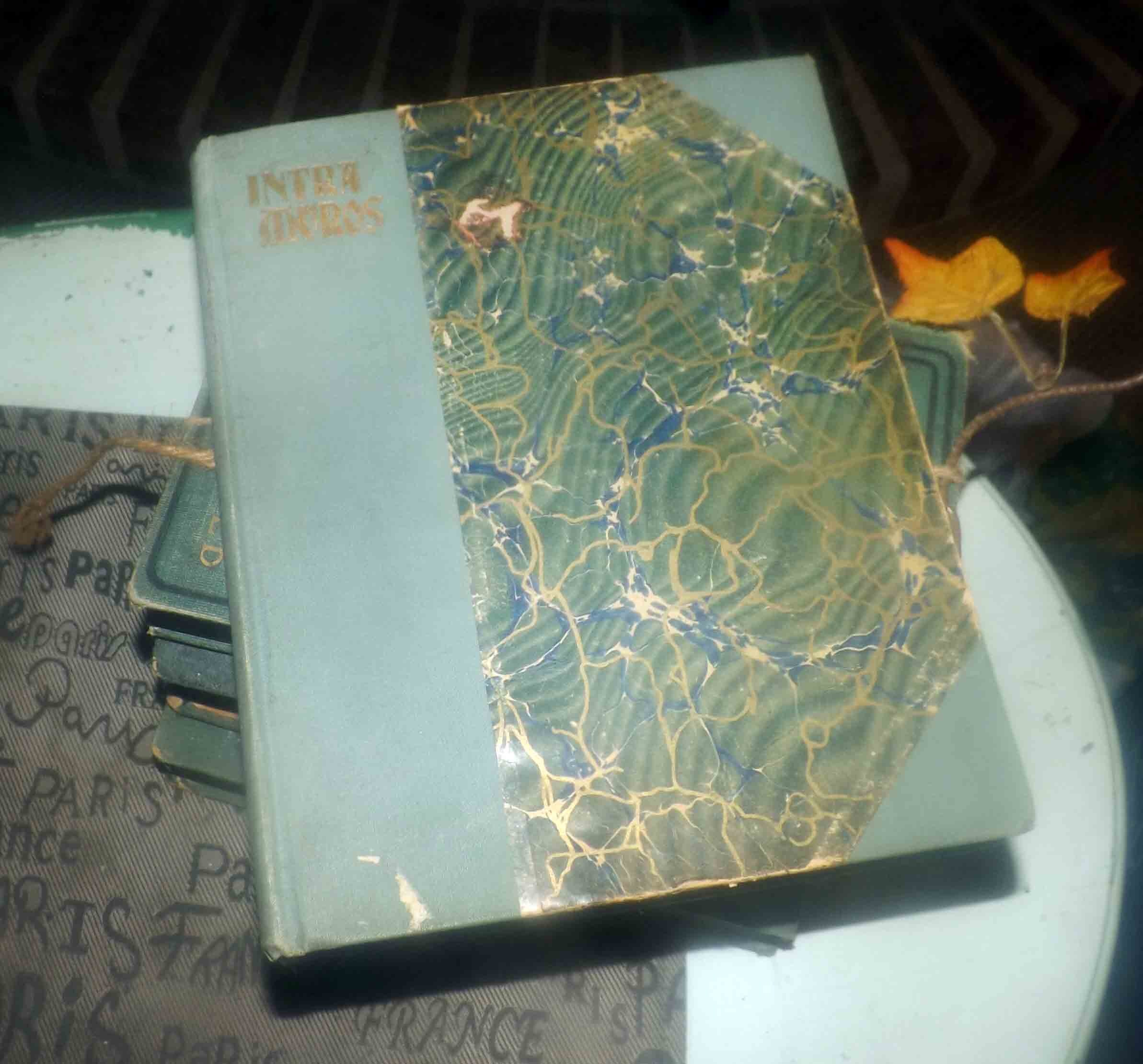 Antique (1898) first-edition hardcover book Intra Muros | My Dream of ...