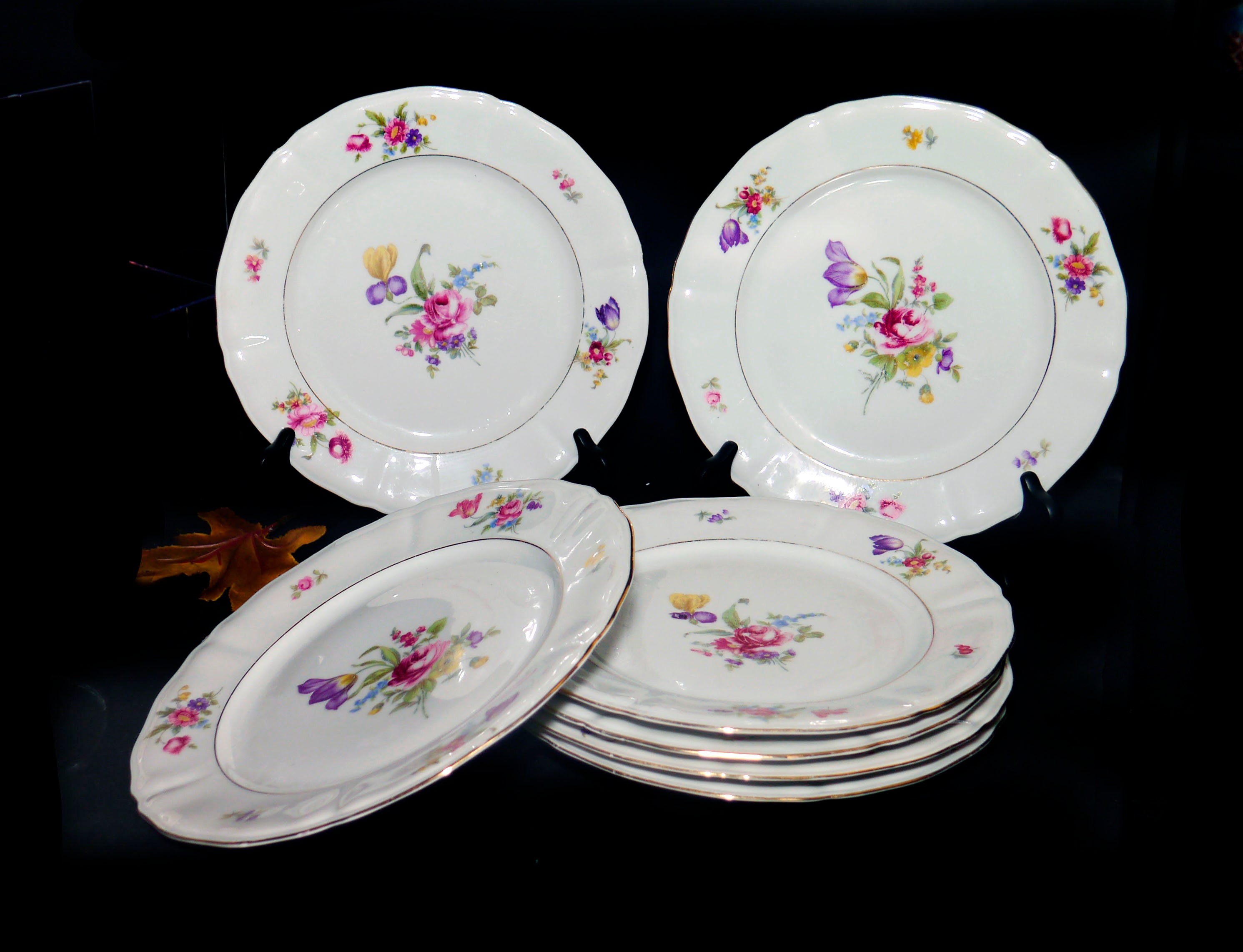 Set of seven Winterling Schwarzenbach WIG34 dinner plates made in Germany.