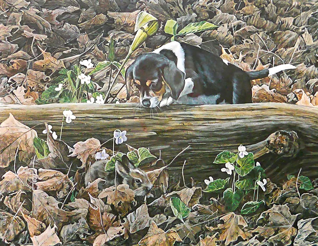 Vintage Tammy Laye Charlotte the Spaniel Print: Signed, Limited-edition ...