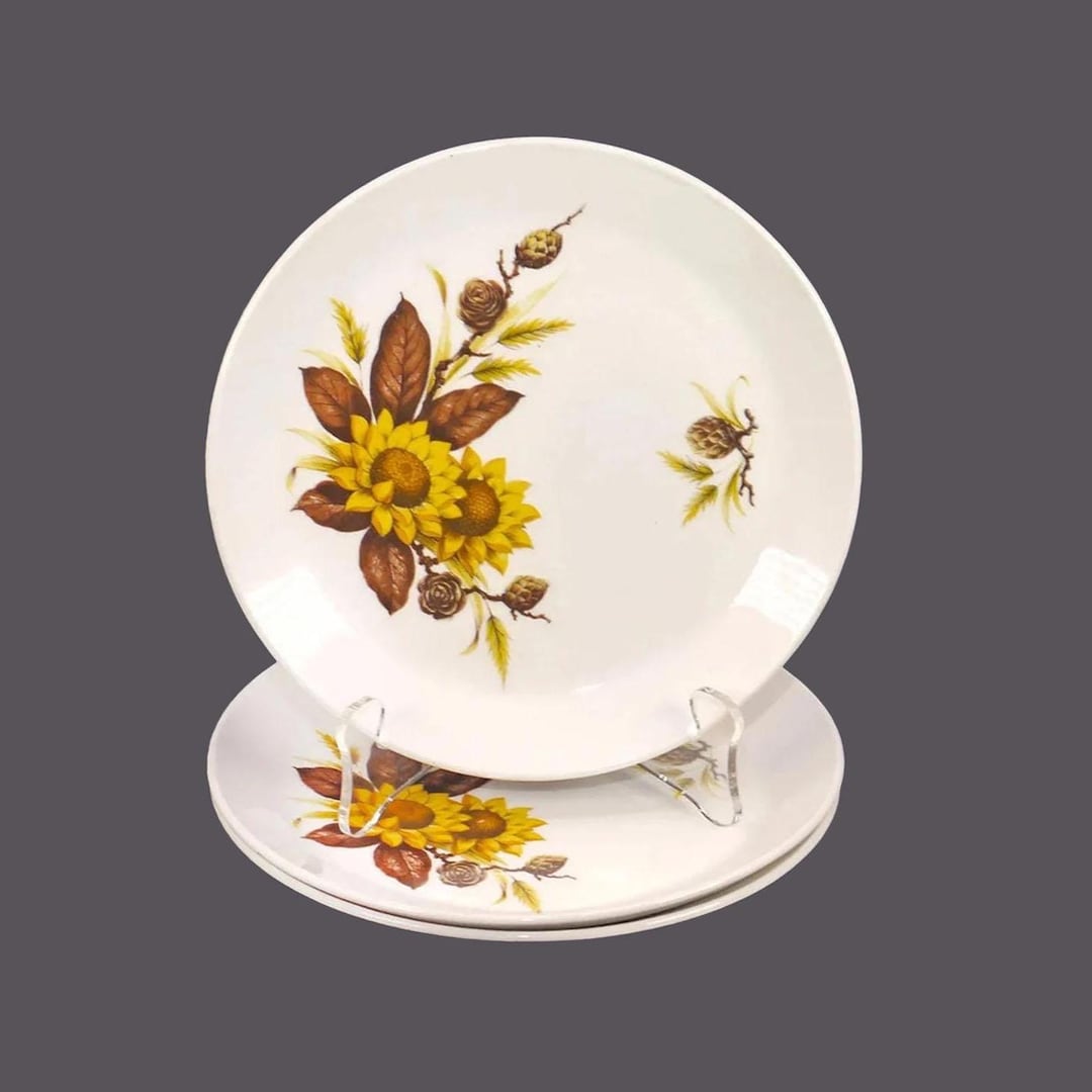 Vintage Johnson Brothers Pinecone | Sherbrooke | JB1058 Bread Plates ...
