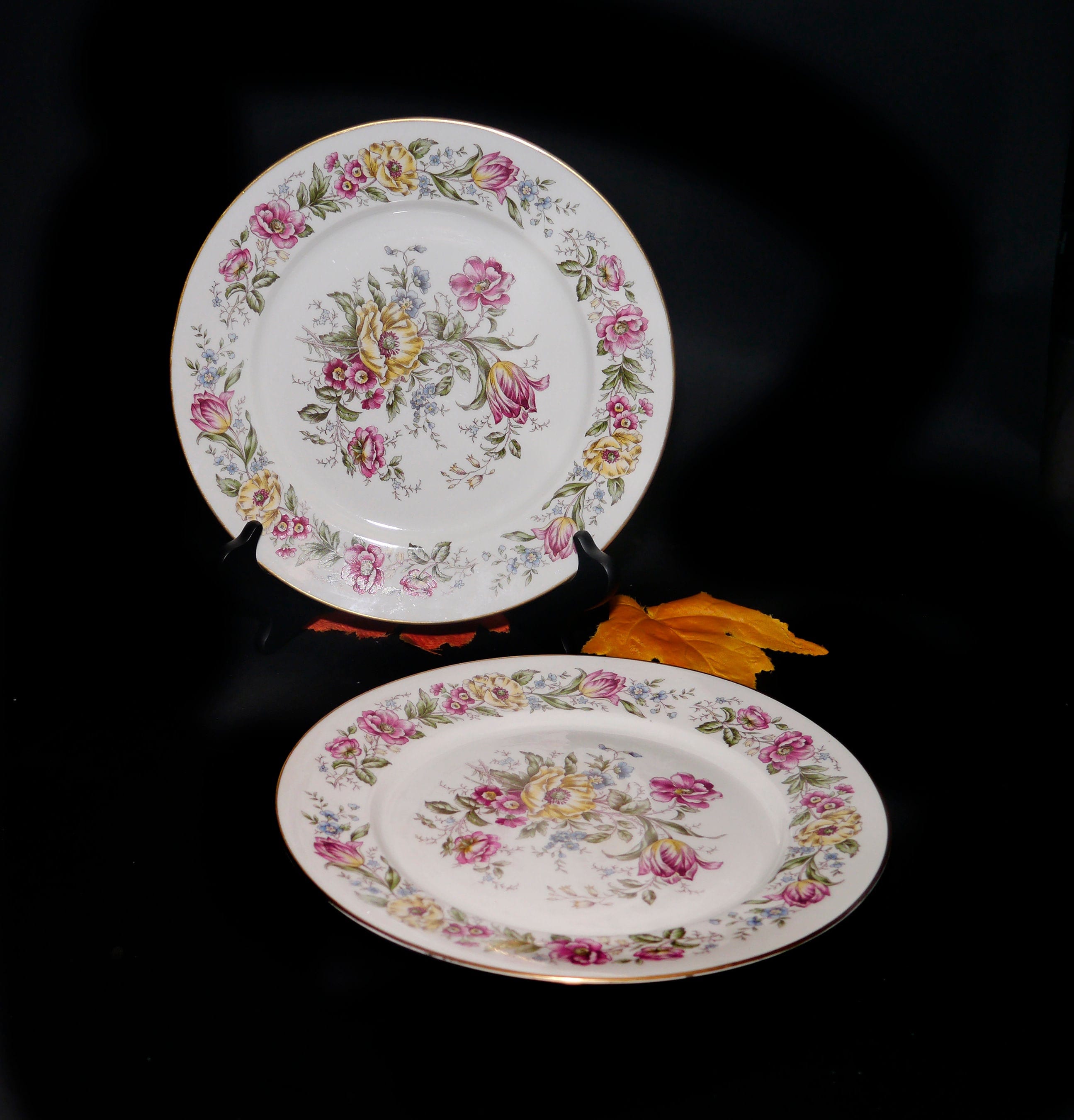 Mid-century Royal Jackson | Jackson China Co Lady Mayfair large dinner ...
