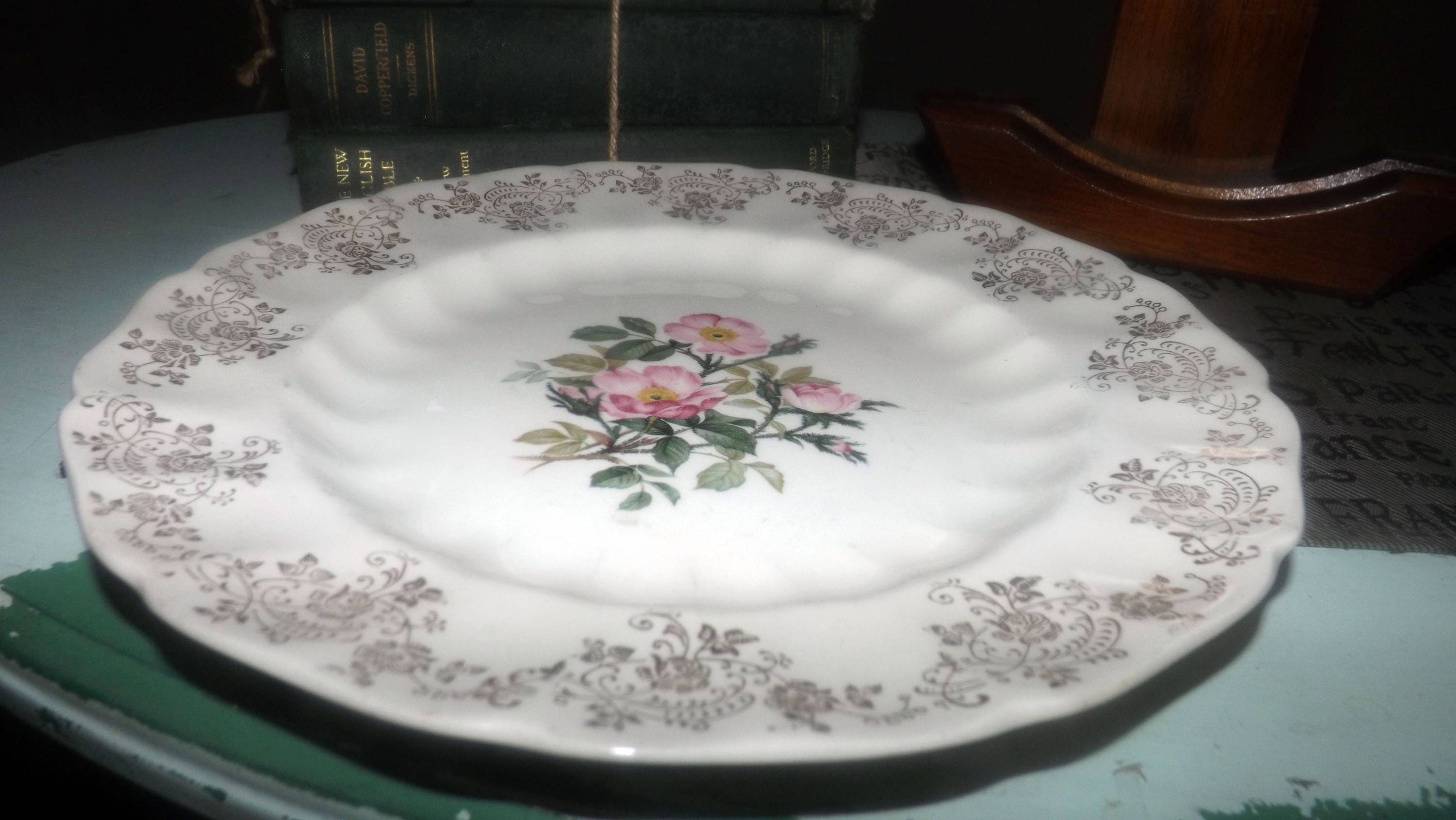 Mid-century Sovereign Potters Splendour C37-59 large dinner plate. Wild ...