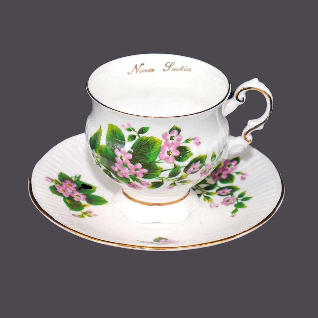 Vintage Elizabethan Mayflower Cup and Saucer: Nova Scotia Floral Emblem ...
