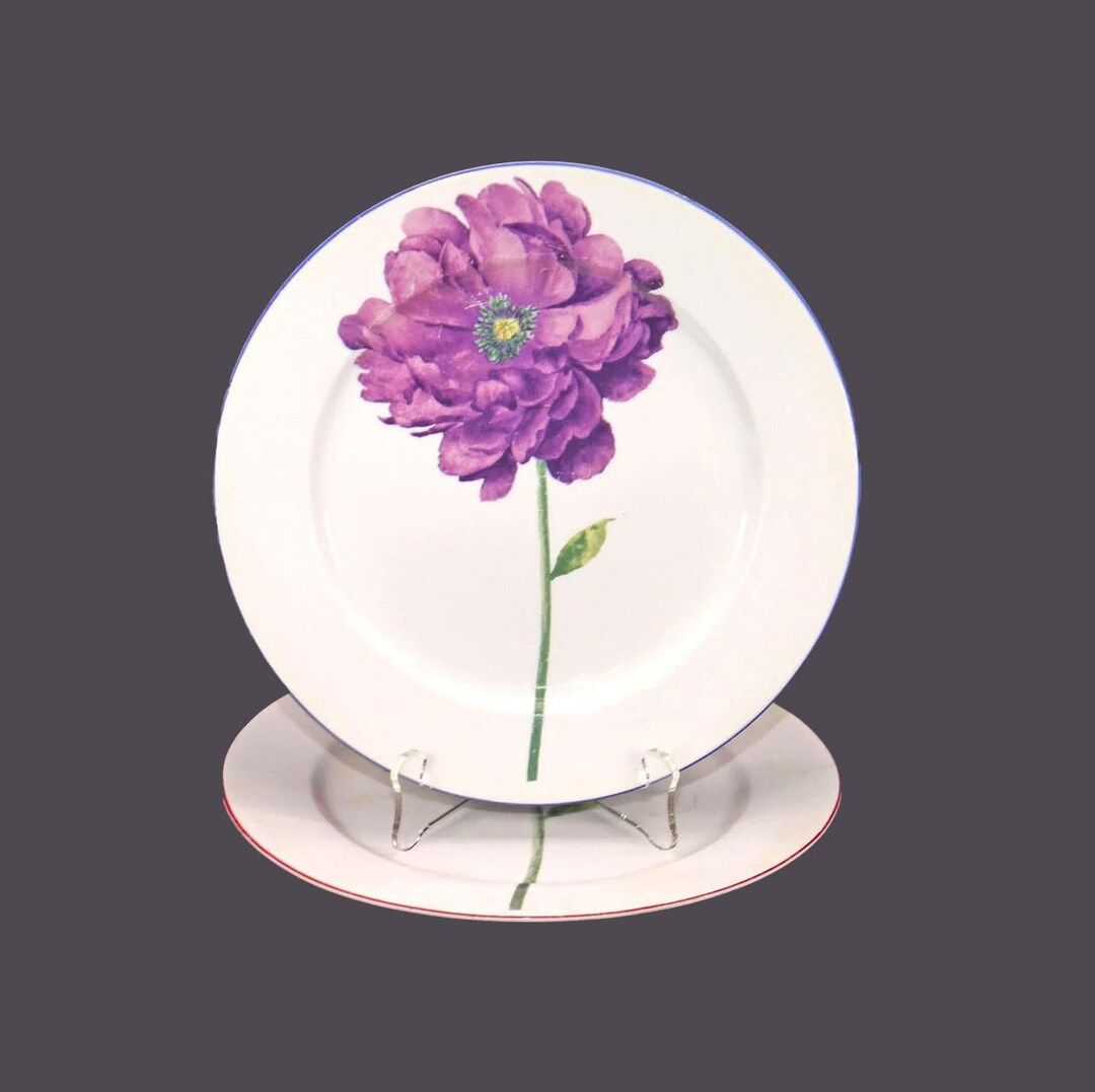 Pair of Muti Flower Power | Flower Show | Poppy Porcelain Luncheon ...