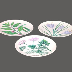 Three Horchow Botanical Herb Seed Salad Plates Made in Japan. - Etsy