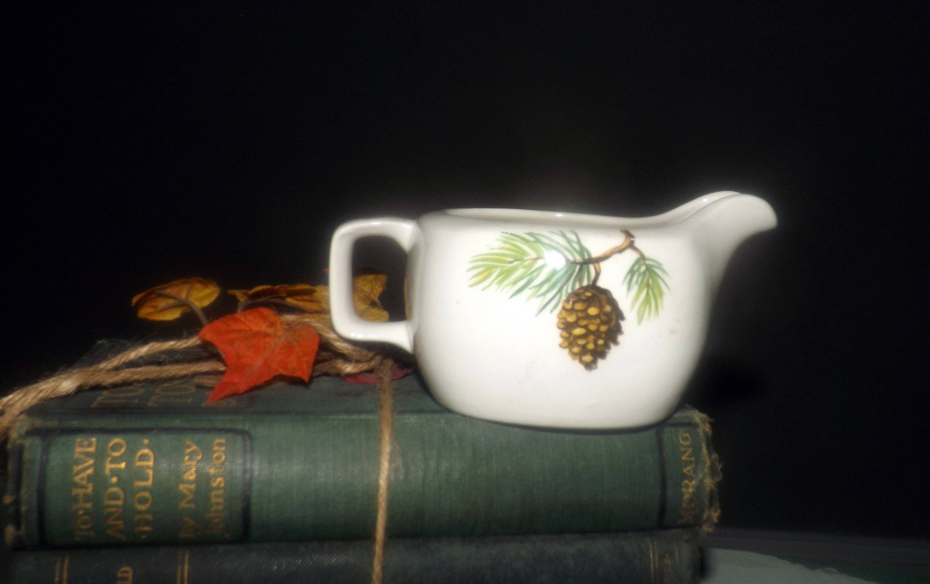 Mid-century (mid 1950s) Midwinter Fir pattern creamer or milk jug. Pine ...