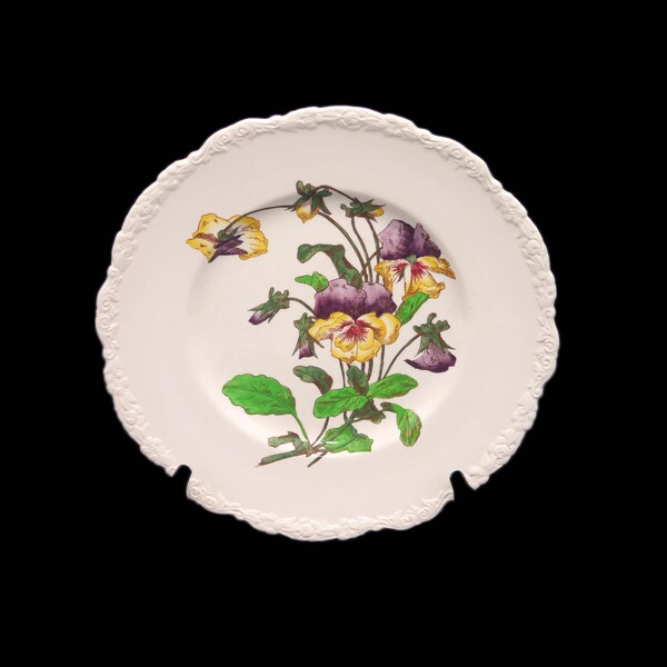 Royal Cauldon - Etsy