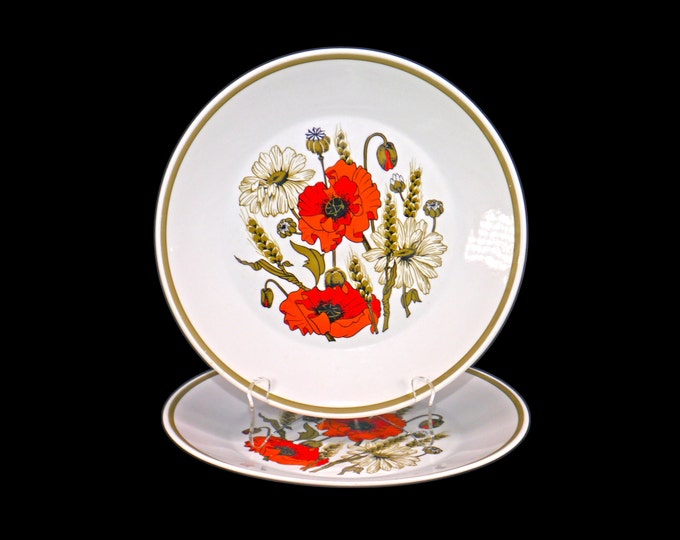 Pair of J&G Meakin Poppy Dinner Plates. Studio Line Ironstone Made in ...