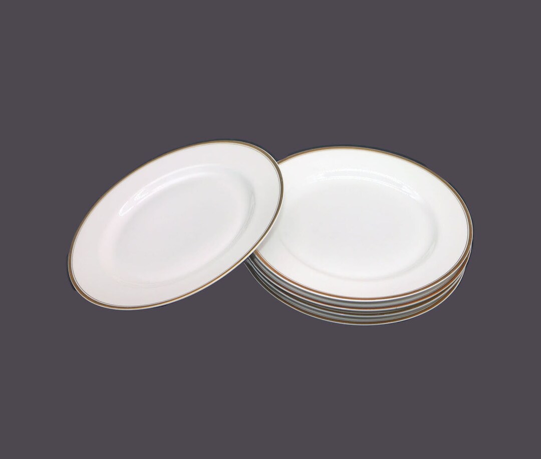Vintage Bawo & Dotter Elite Works Limoges BWD120 Dinner Plates. France ...