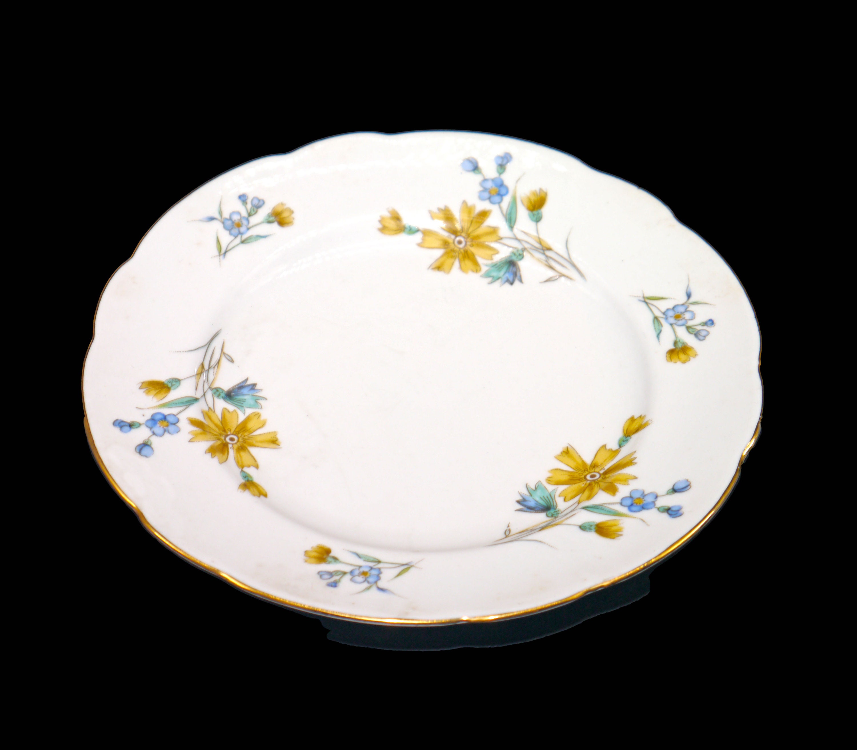 Pair of Cmielow bread plates made in Poland. Blue, yellow dragon flowers.