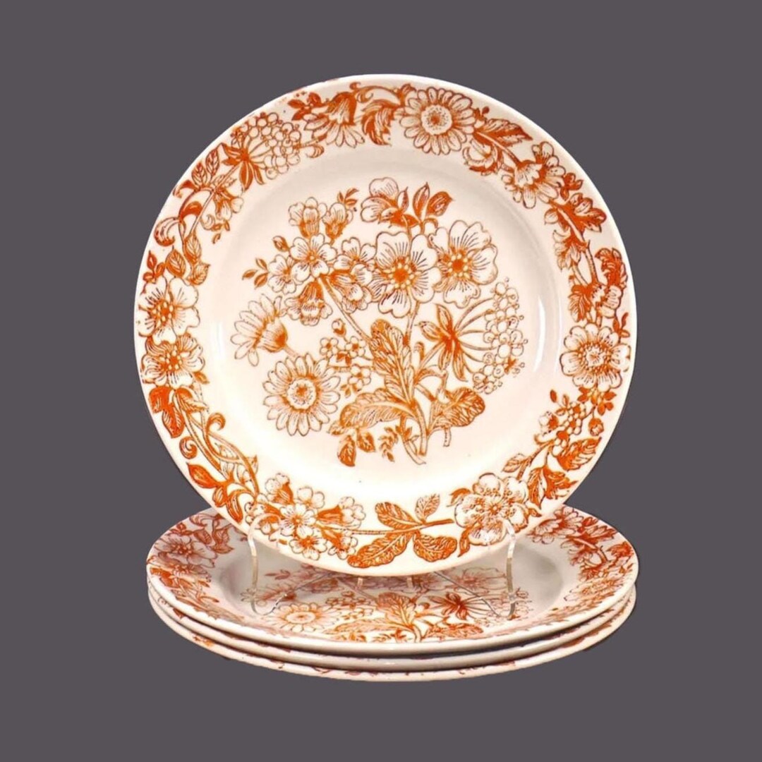 Vintage Broadhurst Richmond Dinner Plates. England. Set of 4. - Etsy Canada